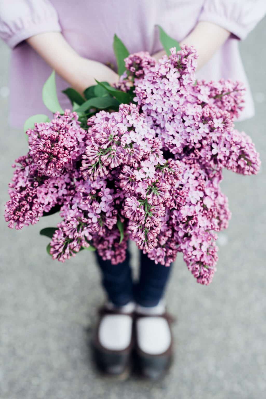 15 Ways to Embrace Joy & Delight This Spring | Bella Grace Magazine